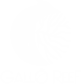 ATI CHROMIUM 100ML MICROELEMENTOS CROMO | Acuario gallo reef